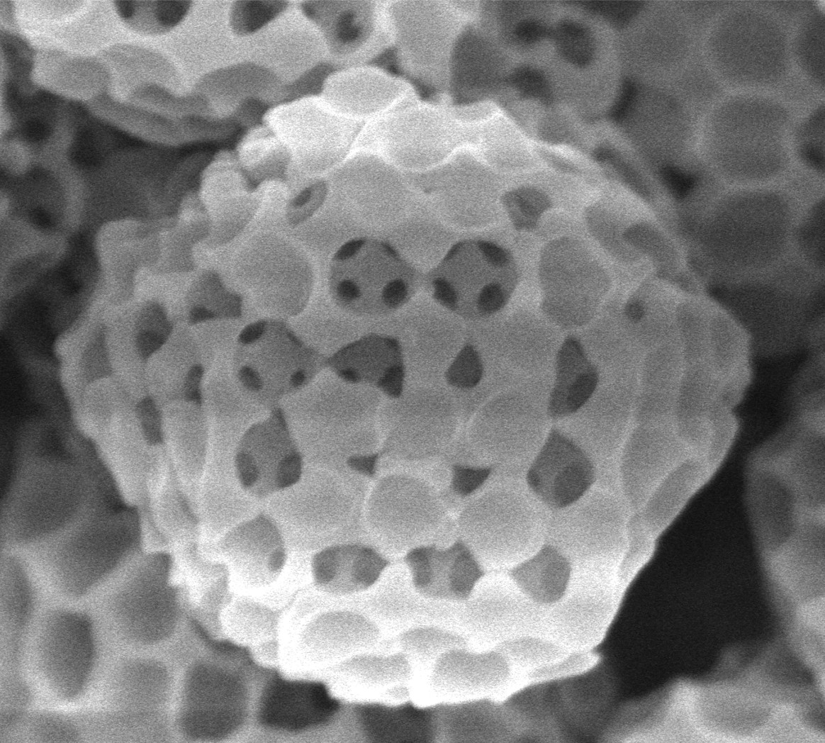 SOM-ZIF-8 | 上海楷树化学科技有限公司