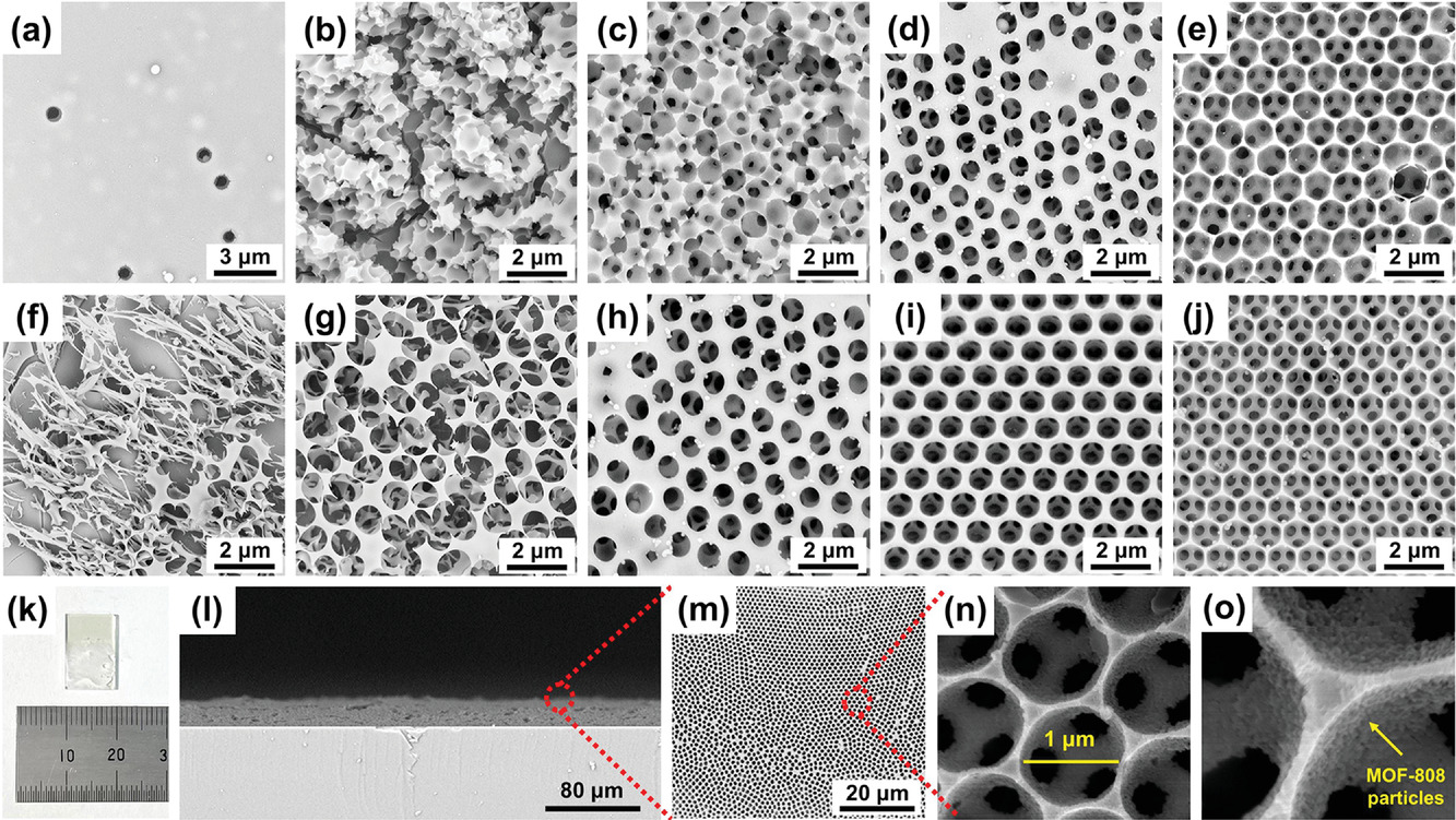 【MOF形貌控制】：一种合成具有可调宏孔、介孔和微孔的分级有序金属-有机框架材料的通用策略 | 上海楷树化学科技有限公司