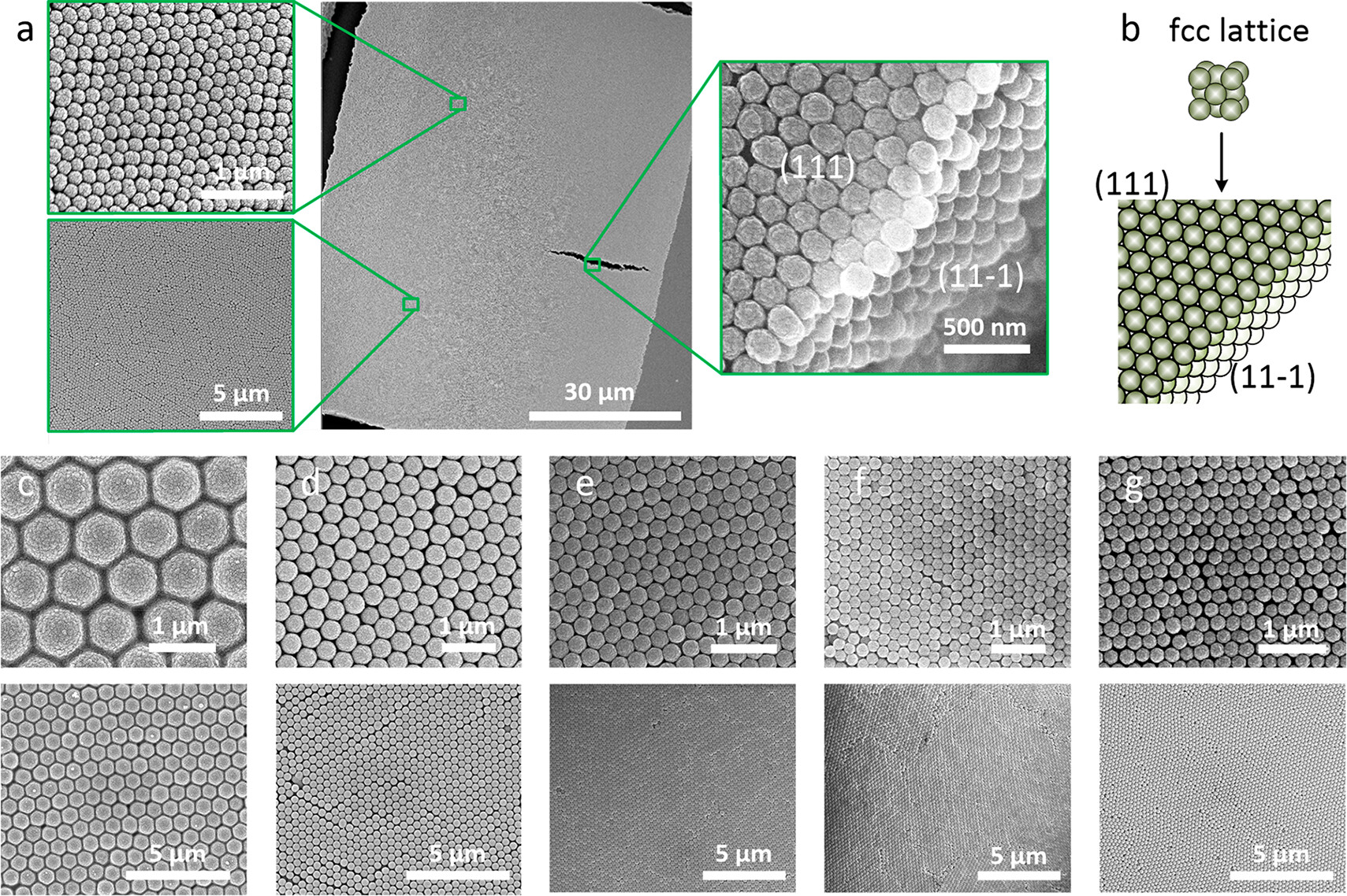 【COF形貌控制】：有序自组装共价有机框架材料制备胶体光子晶体 | 上海楷树化学科技有限公司