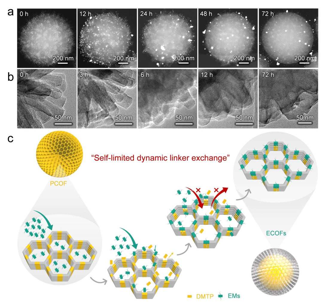 【COF形貌控制】功能化共价有机框架微球通过自限动态连接体交换合成用于固定相 | 上海楷树化学科技有限公司