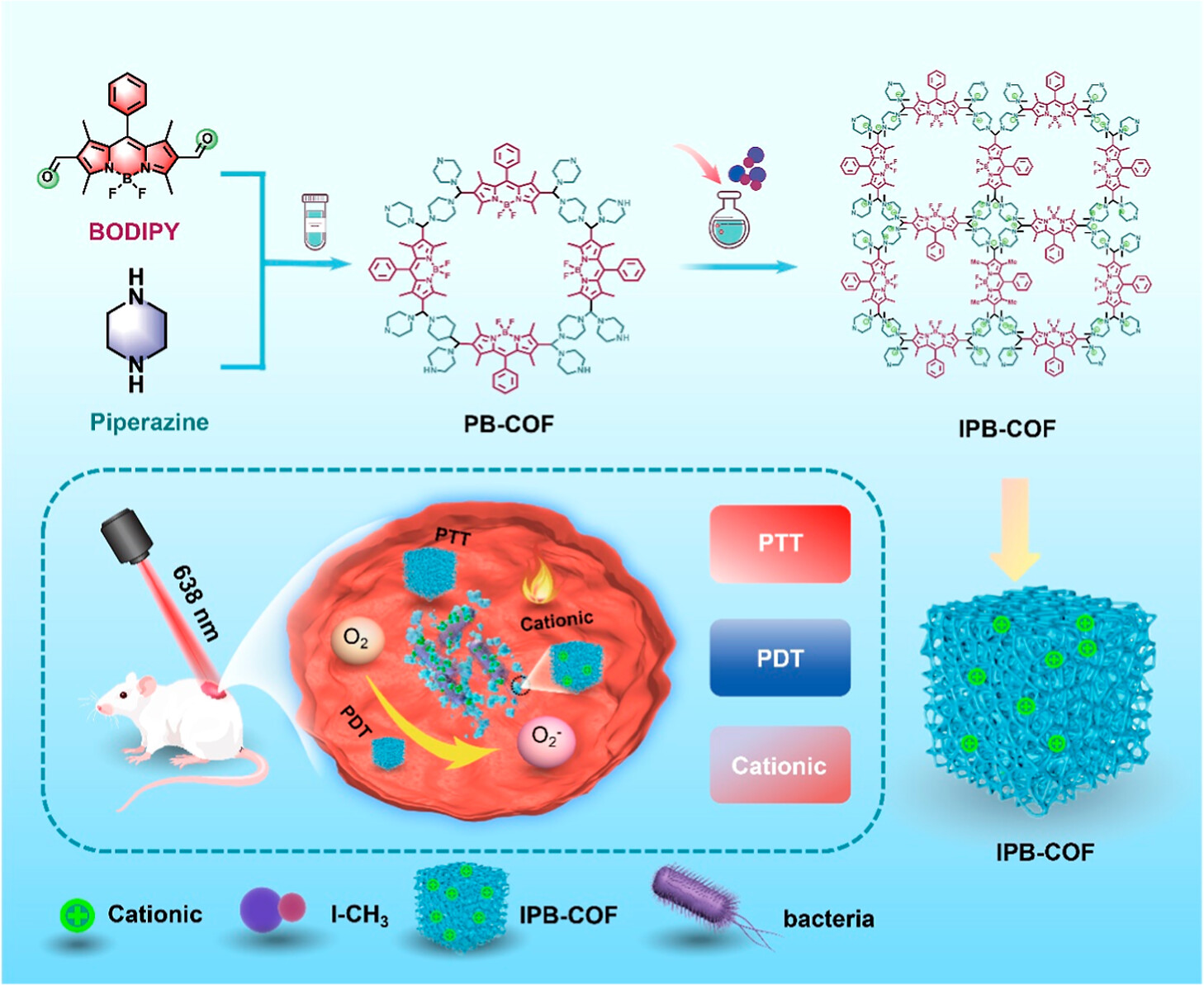 【COF光动力灭菌】BODIPY-COF纳米结构的甲氧基改性以提高光热和光动力细菌灭活效果 | 上海楷树化学科技有限公司
