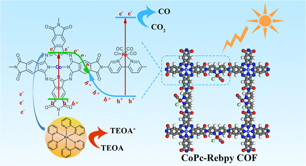 【CoPc-bpy COF】酞菁钴基具有双金属协同效应的共价有机框架，用于高效光催化CO2还原 | 上海楷树化学科技有限公司