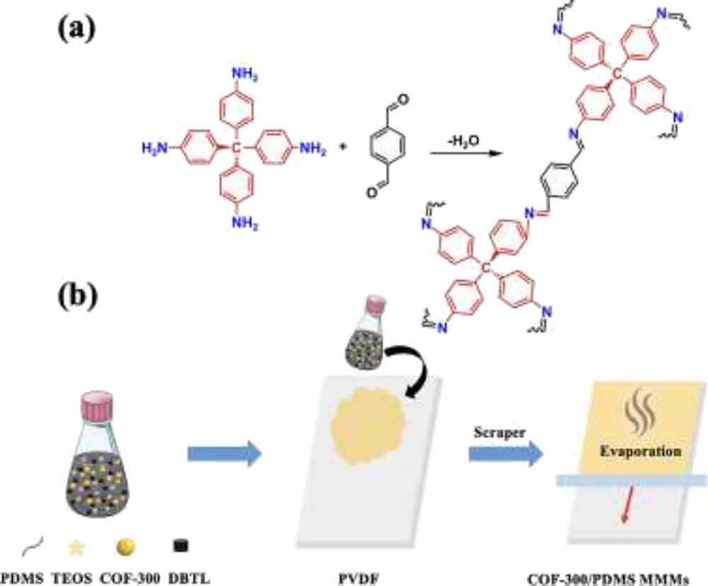 【COF-300】通过渗透汽化高效回收乙醇的共价有机框架/聚二甲基硅氧烷混合基质膜的制备 | 上海楷树化学科技有限公司