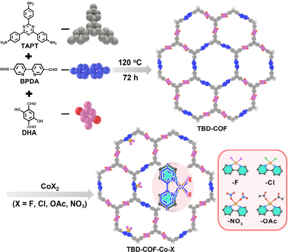 【Bpy-COF-光催化】在共价有机框架中调节单个Co(II)位点周围的配位阴离子以增强CO2光还原 | 上海楷树化学科技有限公司