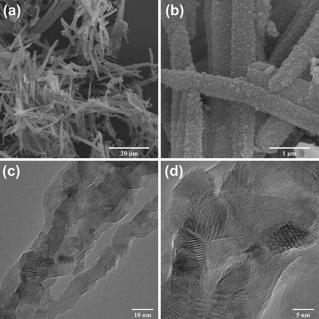【Py-sp²c-COF】二维 sp² 碳共轭芘共价有机框架结合Tempo应用于选择性光催化 | 上海楷树化学科技有限公司