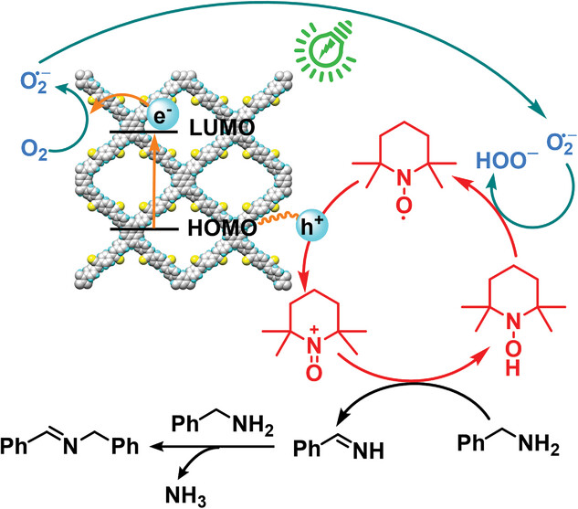 【Py-sp²c-COF】二维 sp² 碳共轭芘共价有机框架结合Tempo应用于选择性光催化 | 上海楷树化学科技有限公司