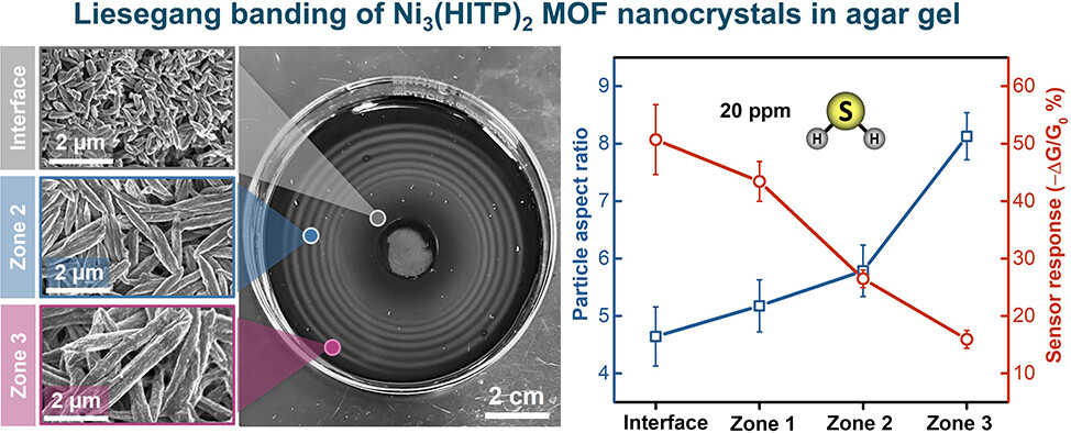 【导电Ni3(HITP)2】非平衡条件下刺激响应纳米晶体的时空自组织控制 | 上海楷树化学科技有限公司
