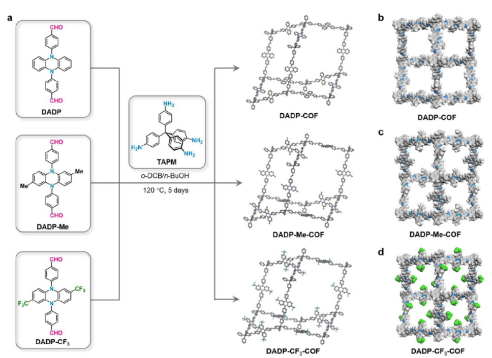 【3D DADP-CF3-COF】用于高效光还原催化原子转移自由基聚合的三维共价有机框架的结构调控 | 上海楷树化学科技有限公司