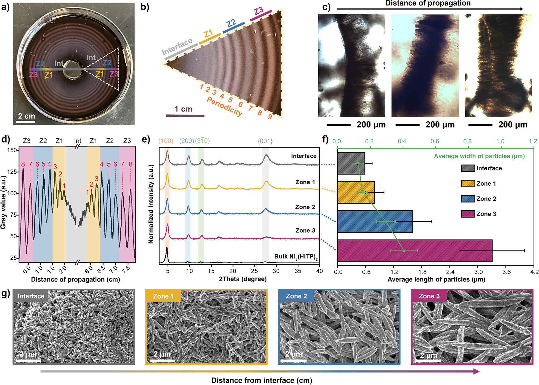 【导电Ni3(HITP)2】非平衡条件下刺激响应纳米晶体的时空自组织控制 | 上海楷树化学科技有限公司
